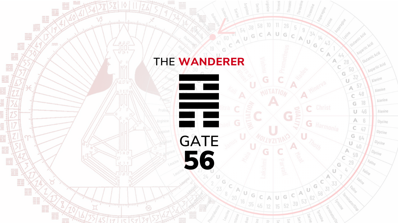 Gate 56 - The Wanderer | The New School of Human Design